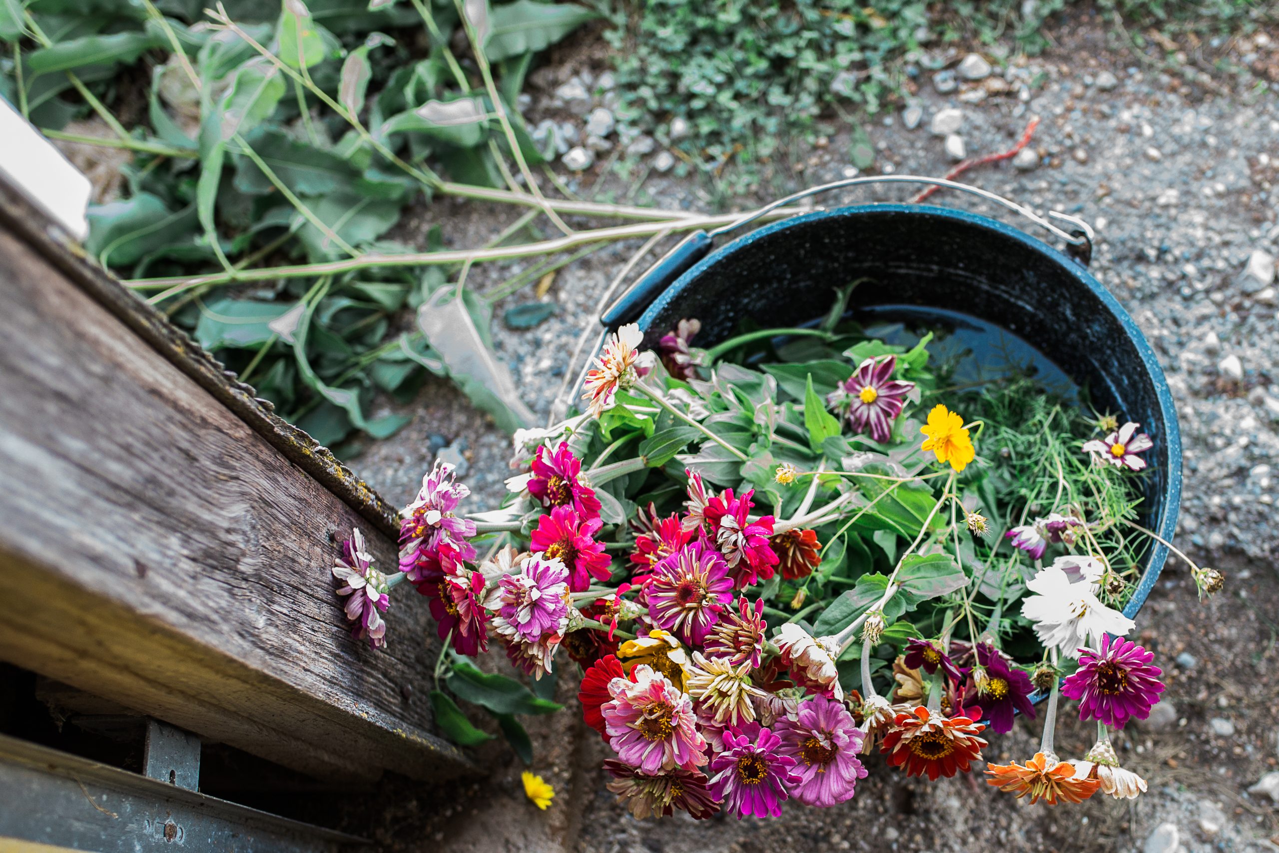 Flower Demand - Spring 2020 - GrowFlowers