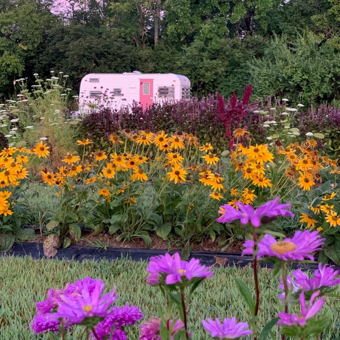 Flower Farm Tour With In The Garden Flower Farm - GrowFlowers